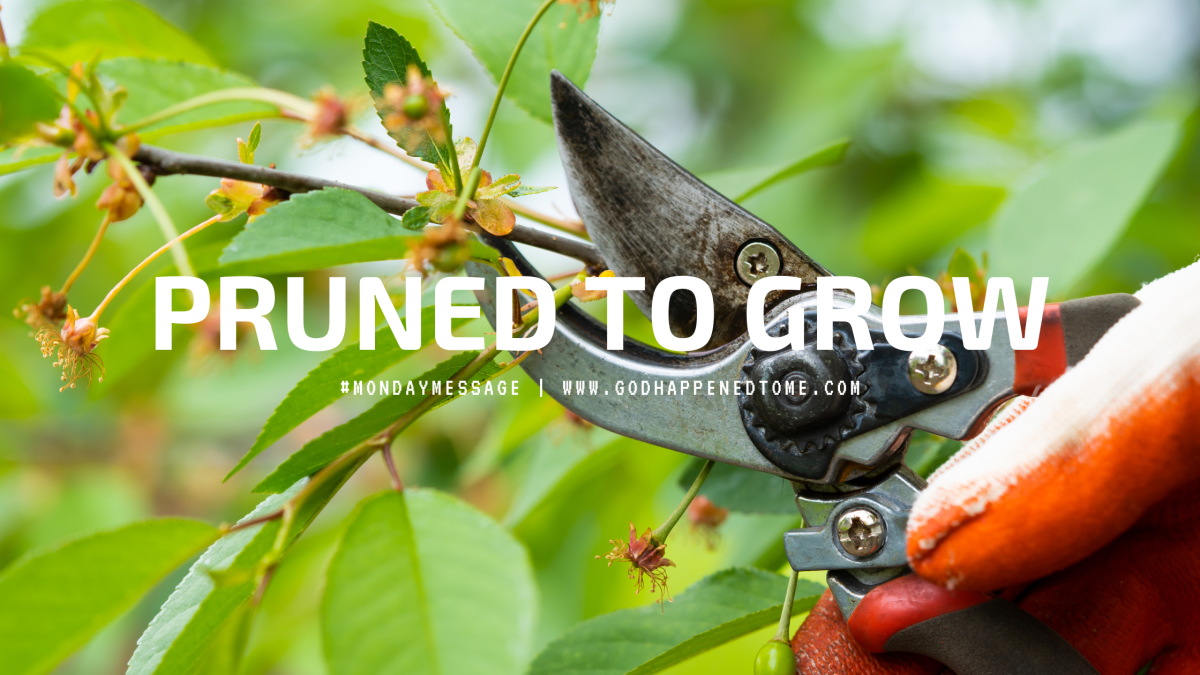 Pruned to Grow – God Happened To ME Ministries, LLC